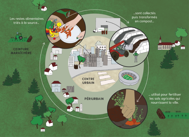 Compost obligatoire 2024 : Que faire de vos Biodéchets en janvier